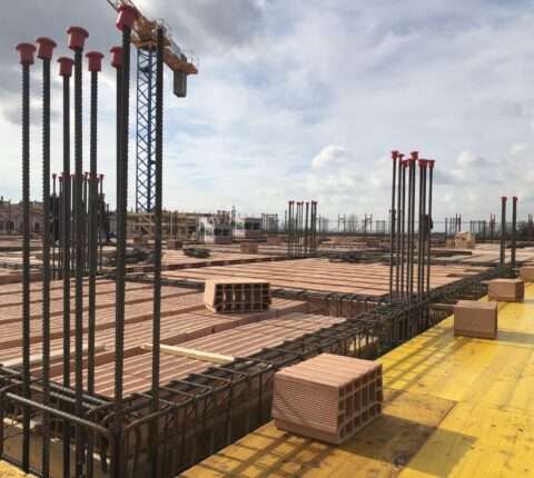 La storia e le caratteristiche della pignatta - T2D